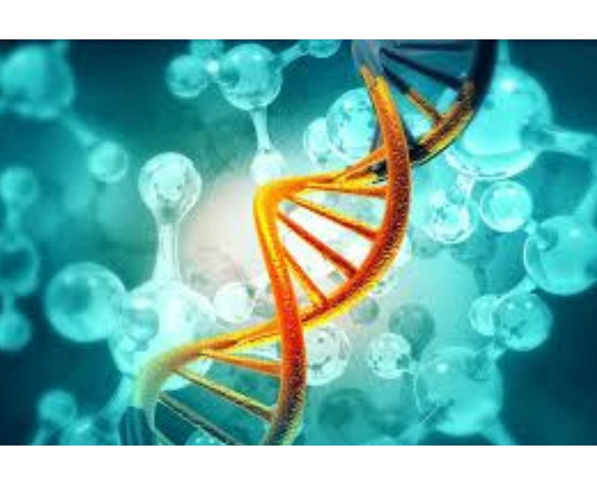 Dynamic Effects of Environment and Genetic Influence on Intelligence ...