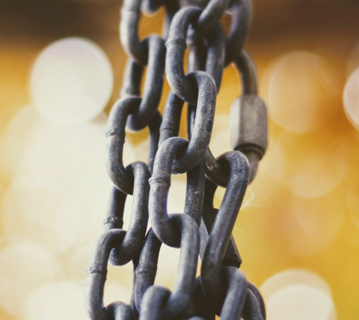 A Community-Led Discussion: Keep Cross Chain? | by Laura Wallendal ...