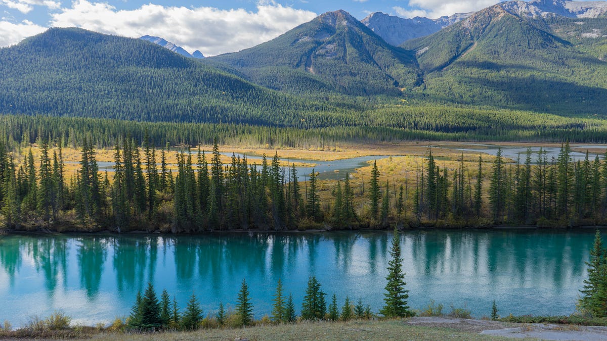 在Vue.js中使用Axios取得資料. Vue如果需要取用網站外其他的資料，需要借助於第三方的資源。Axios是其中的一… | by ...