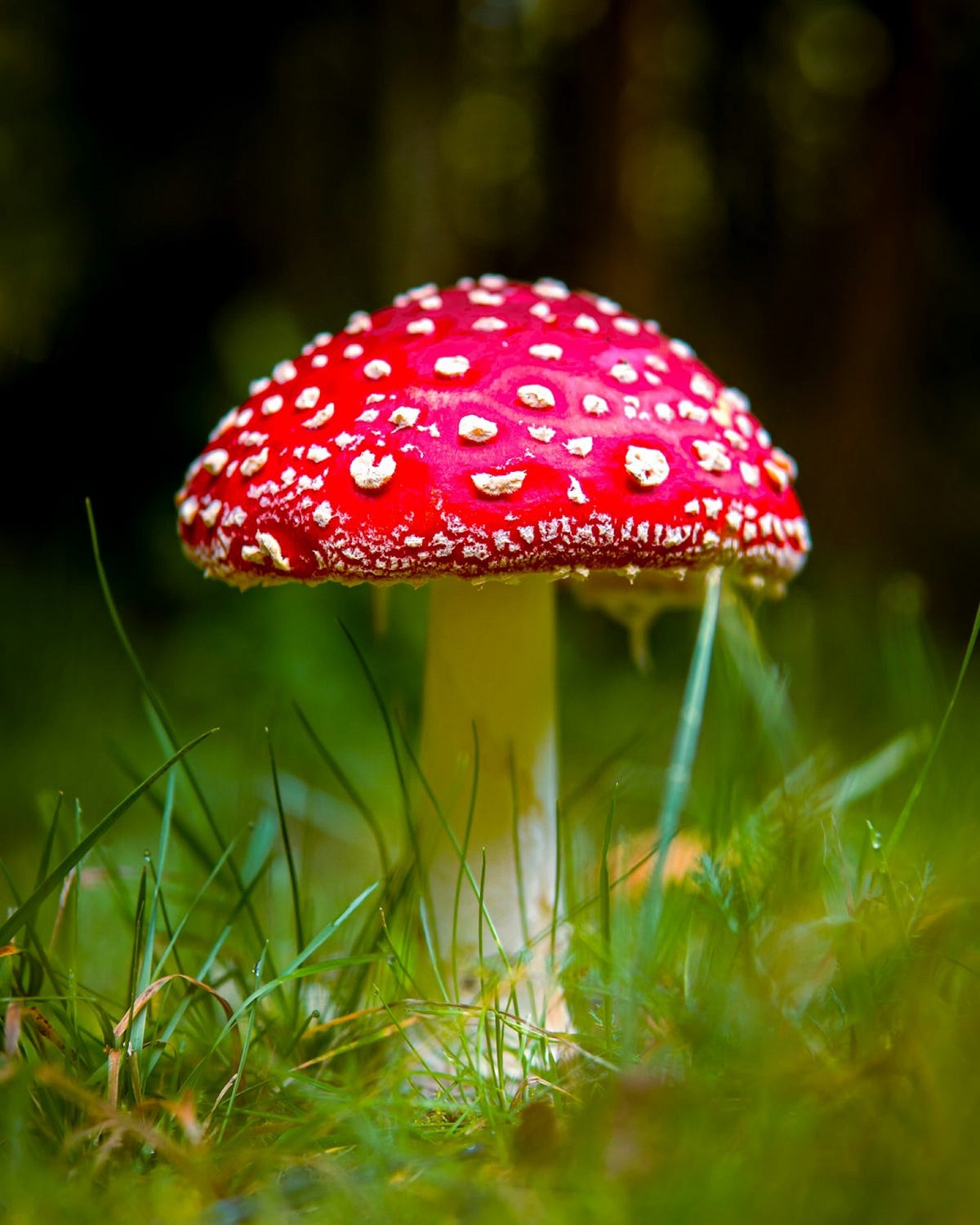 10 Funny Things I Fear. Seeing the absurd side helps me face my… | by ...