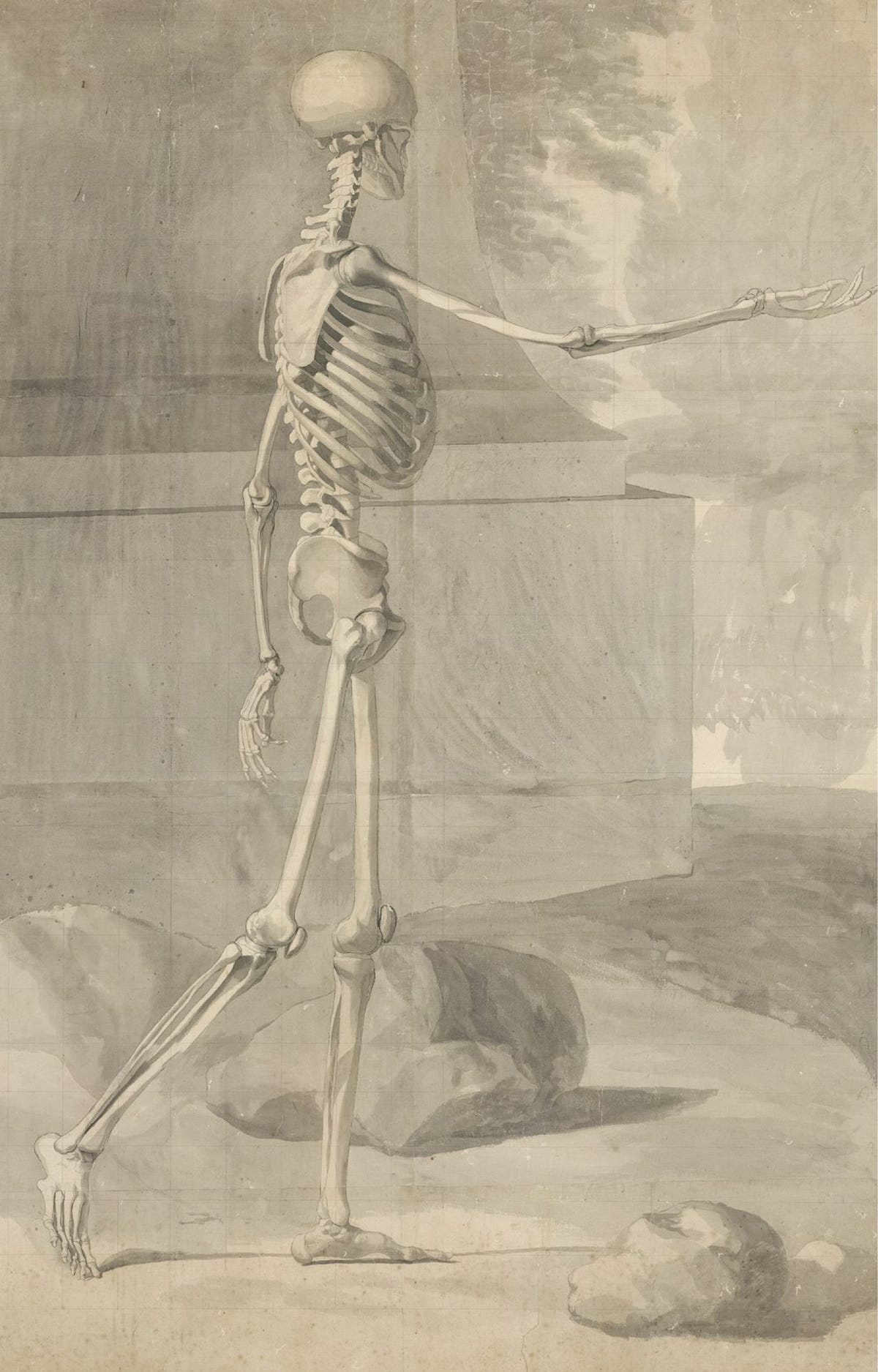 Moving Backwards. Like in reverse but the opposite | by Everyday ...