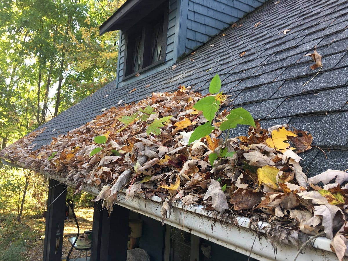 How Gutters Reduce Fires. Homeowners frequently associate gutters… | by ...