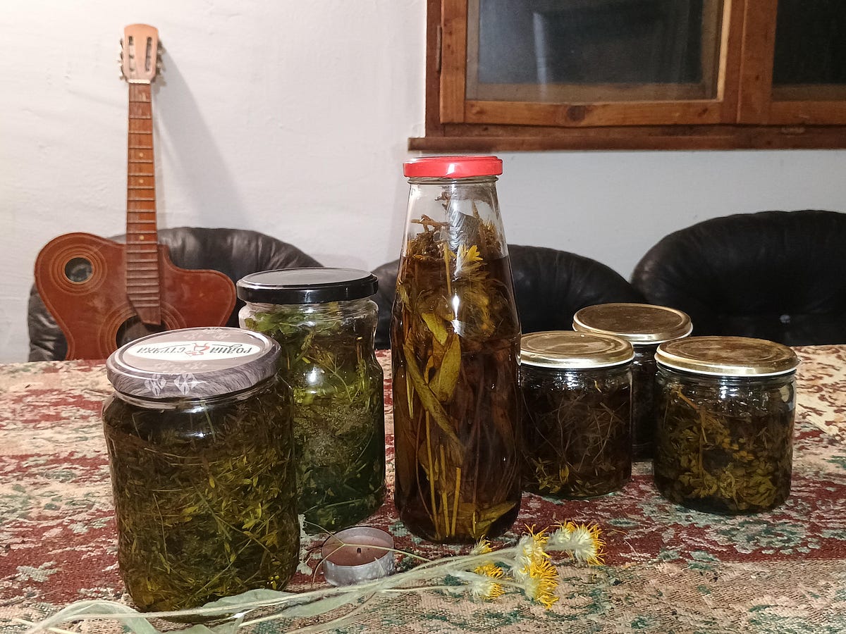 🌿 Traditional Herbal Folk Remedies from Eastern Europe | by Sigrid ...