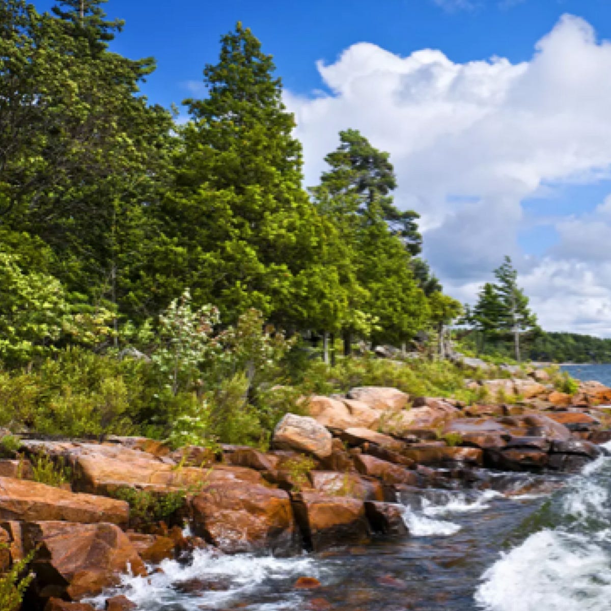 “Unleashing the Wild Magic: Conquering Killbear Provincial Park In ...