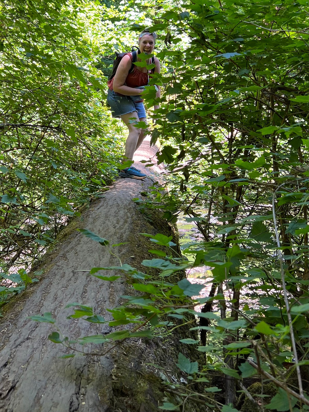 The trees make me soft. I walk as they wave warmly to me. Reaching out ...