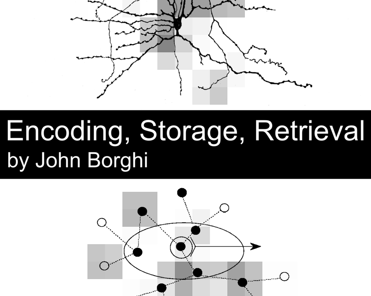 Encoding, Storage, Retrieval | by John Borghi | Medium