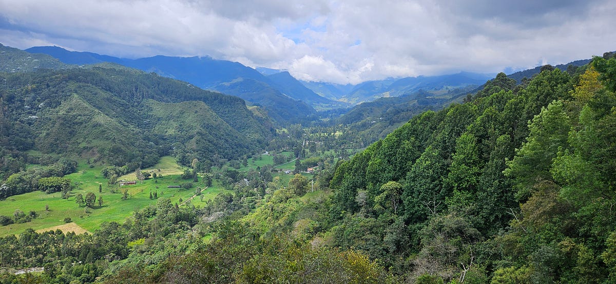 Inside of Colombia’s Coffee Region | by AOK Adventures | Aug, 2024 | Medium