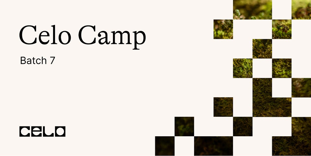 Congratulations to Celo Camp Batch 7 Winners | by Celo Foundation | The ...