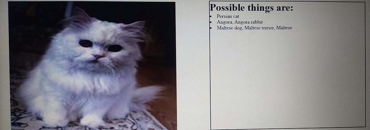 Introducing object detection. a.k.a. Trying out Tensorflow.js | by ...