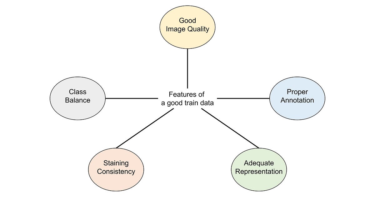 Building Blocks for AI: Unpacking the Essentials of Training Data for ...