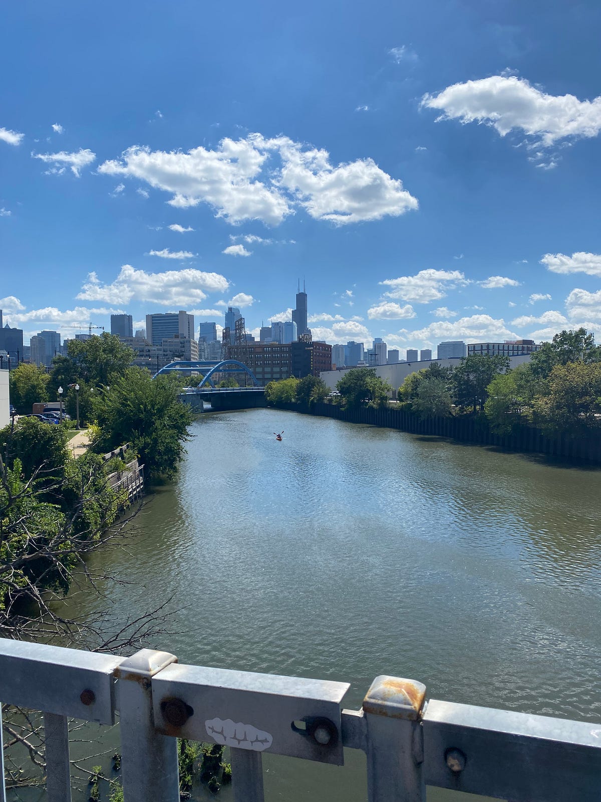 Bringing Down My Personal Bridges Through Walking Chicago | by Neomi ...