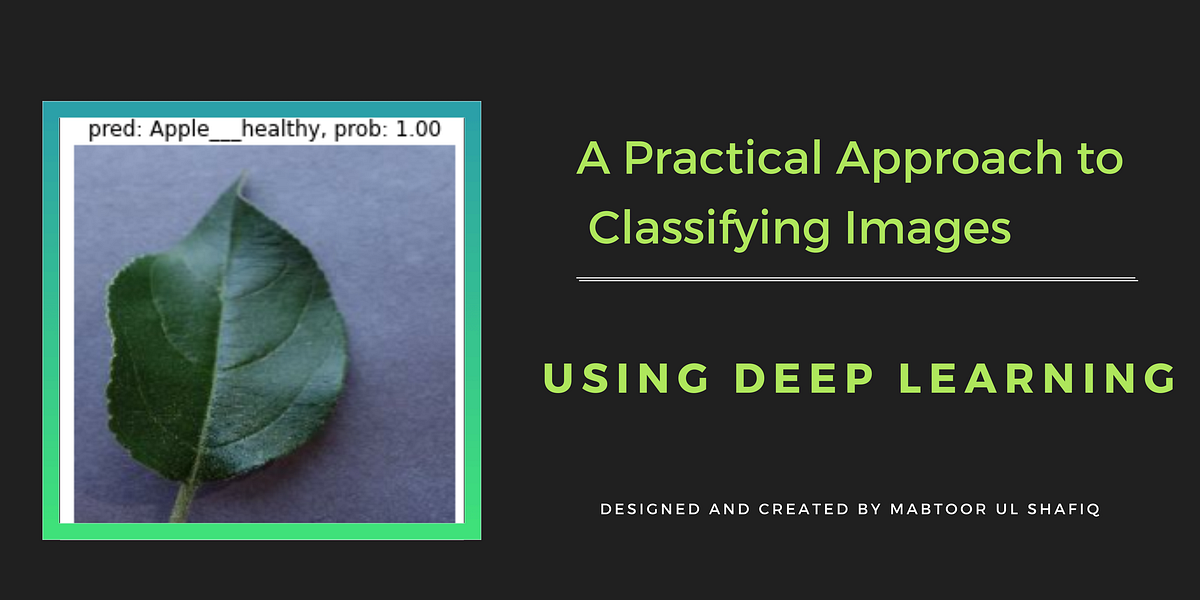 A Practical Approach to Classifying Images Using Deep Learning | by ...
