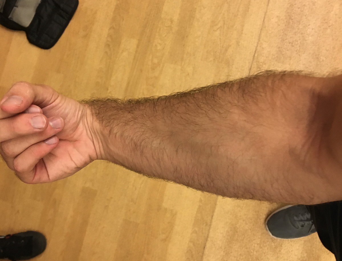 M2M Day 289: Forearms like Popeye | by Max Deutsch | Medium