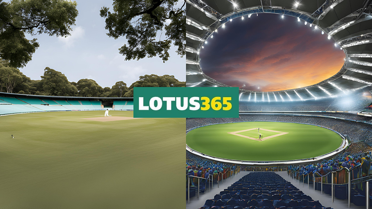 The Social Side of Lotus365: Connecting with Other Users | by Lotus 365 ...