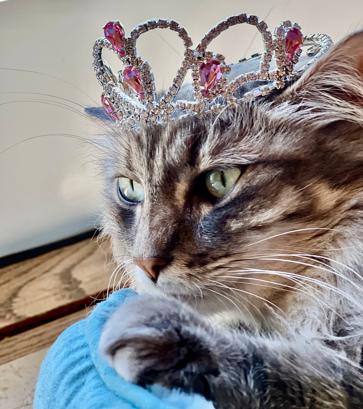 Happy Birthday Miss Uma Zooma Angelwings | by Erika Burkhalter | Six ...