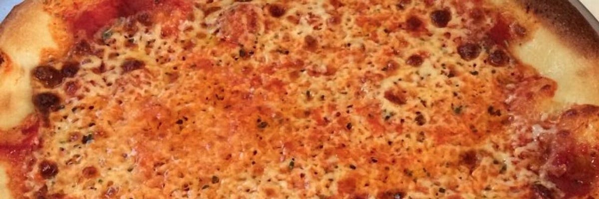 Machine learning image classification with ml5.js continued | by Rich ...