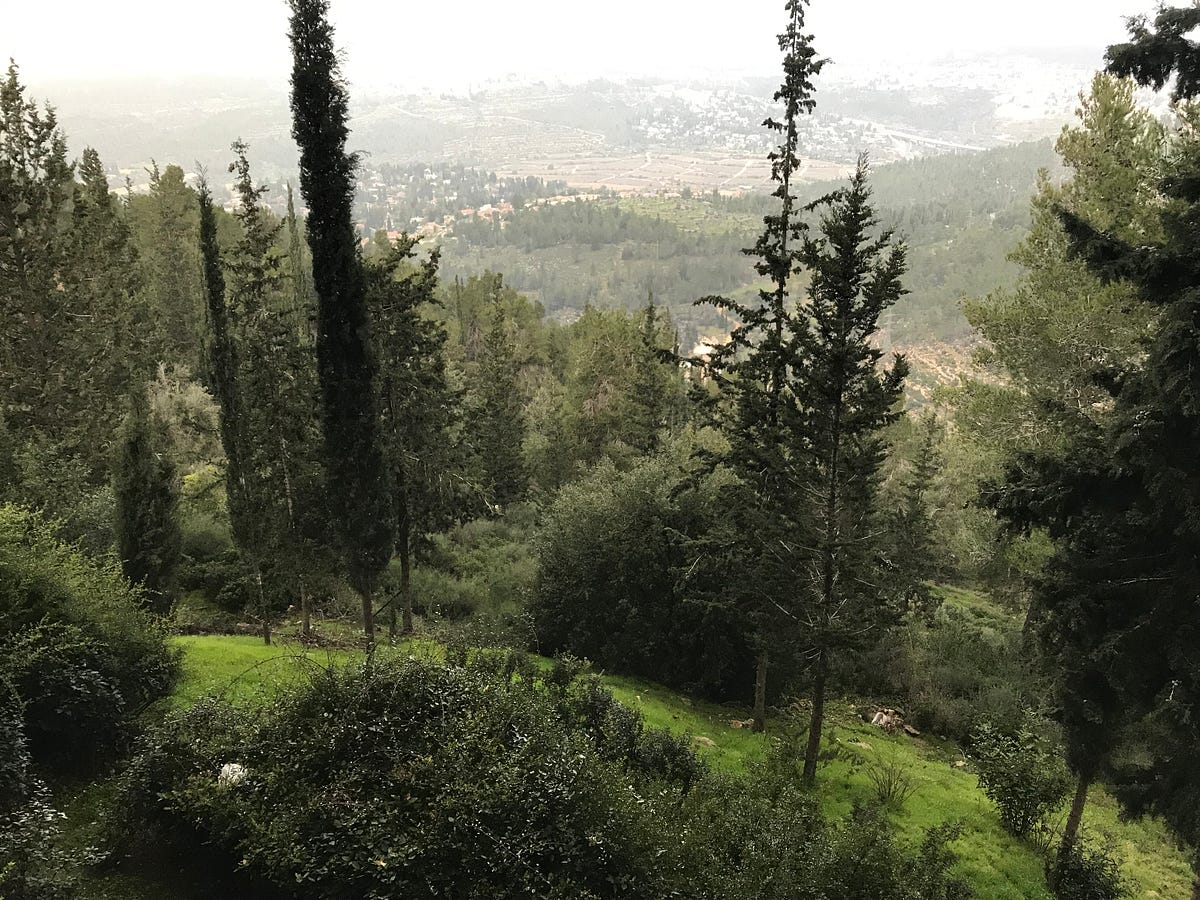 The Fruitfulness of Israel. How do you picture the topography of… | by ...