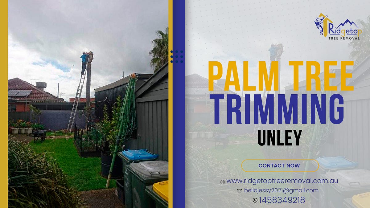 All you need to know about palm tree trimming | by Ridgetoptreeremoval ...