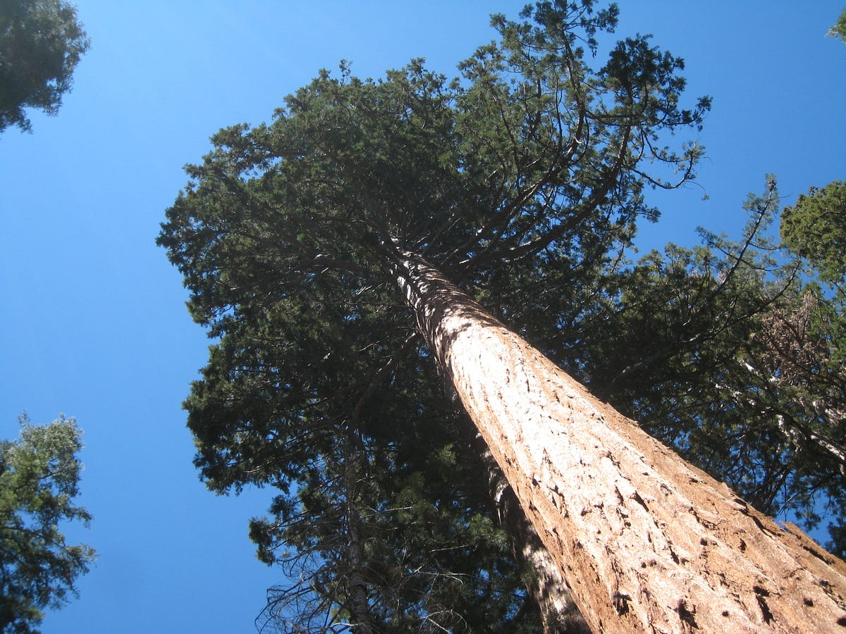 How to implement the easiest queue in JavaScript | by Jeanno | Medium