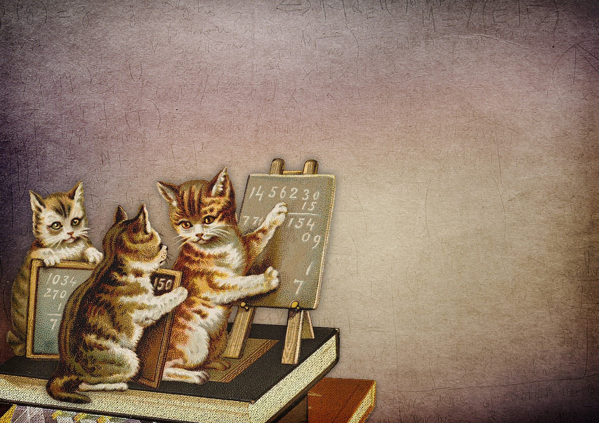 5 Groovy Tips Help You Write Better Code In Julia | by Emma Boudreau ...