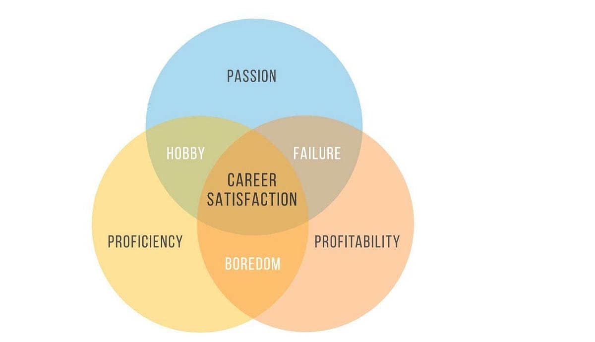 Transforming Passion into Your Professional Niche: A Data-Driven ...