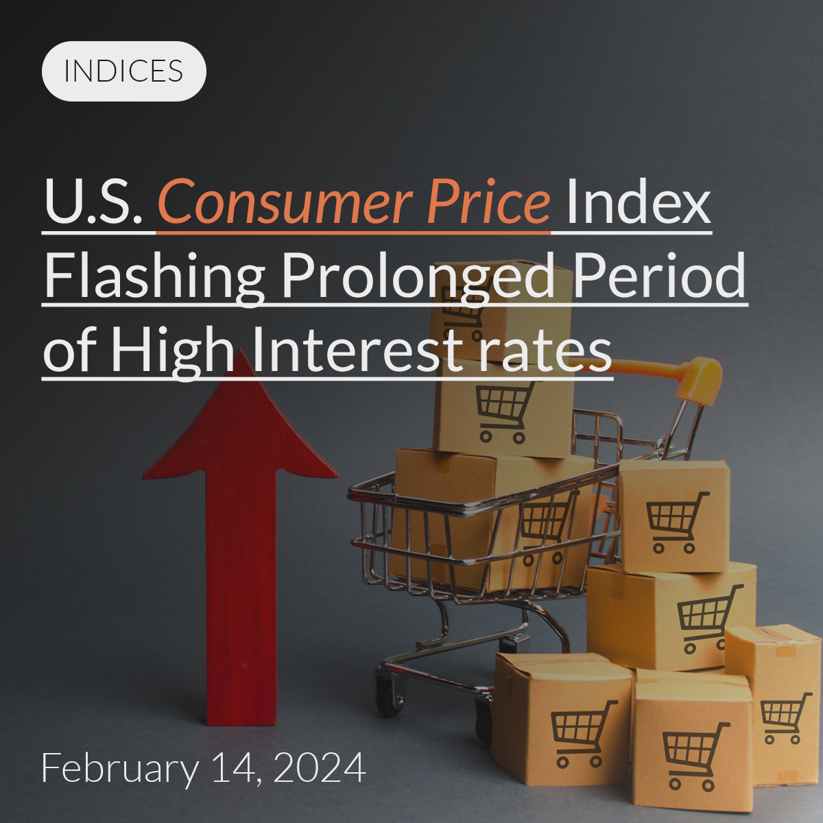 U.S. Consumer Price Index Flashing Prolonged Period of High Interest ...