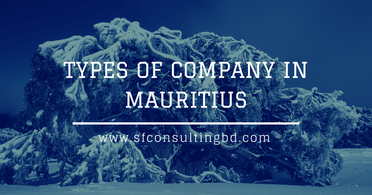 Types of company in Mauritius. Choice of Business Structure: a… | by ...