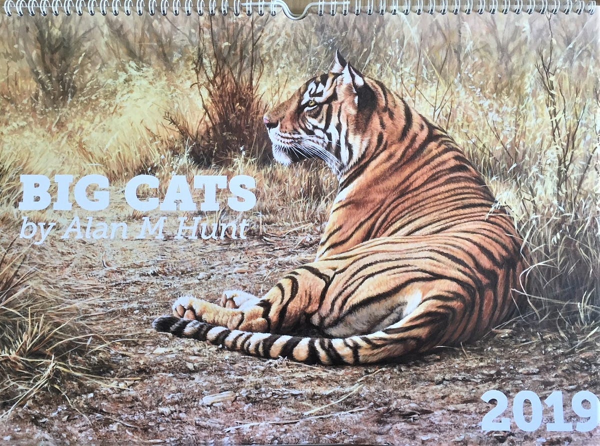 Big Cat Calendar 2019 by Alan M Hunt | by Alan M Hunt | Medium