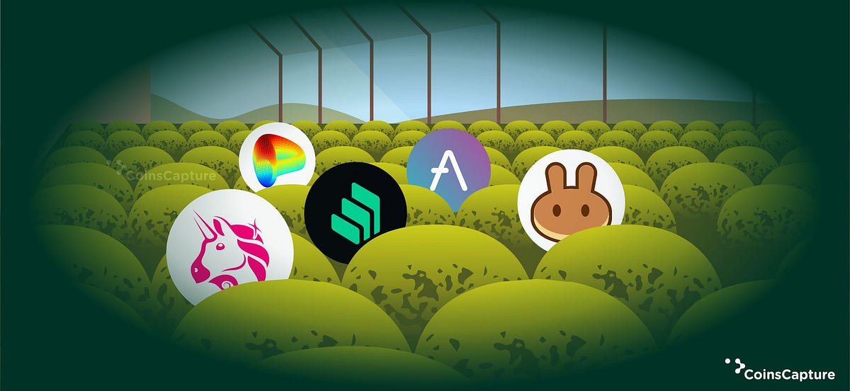 Top 5 Yield Farming Tokens For 2022 | by Coinscapture | CoinsCapture ...
