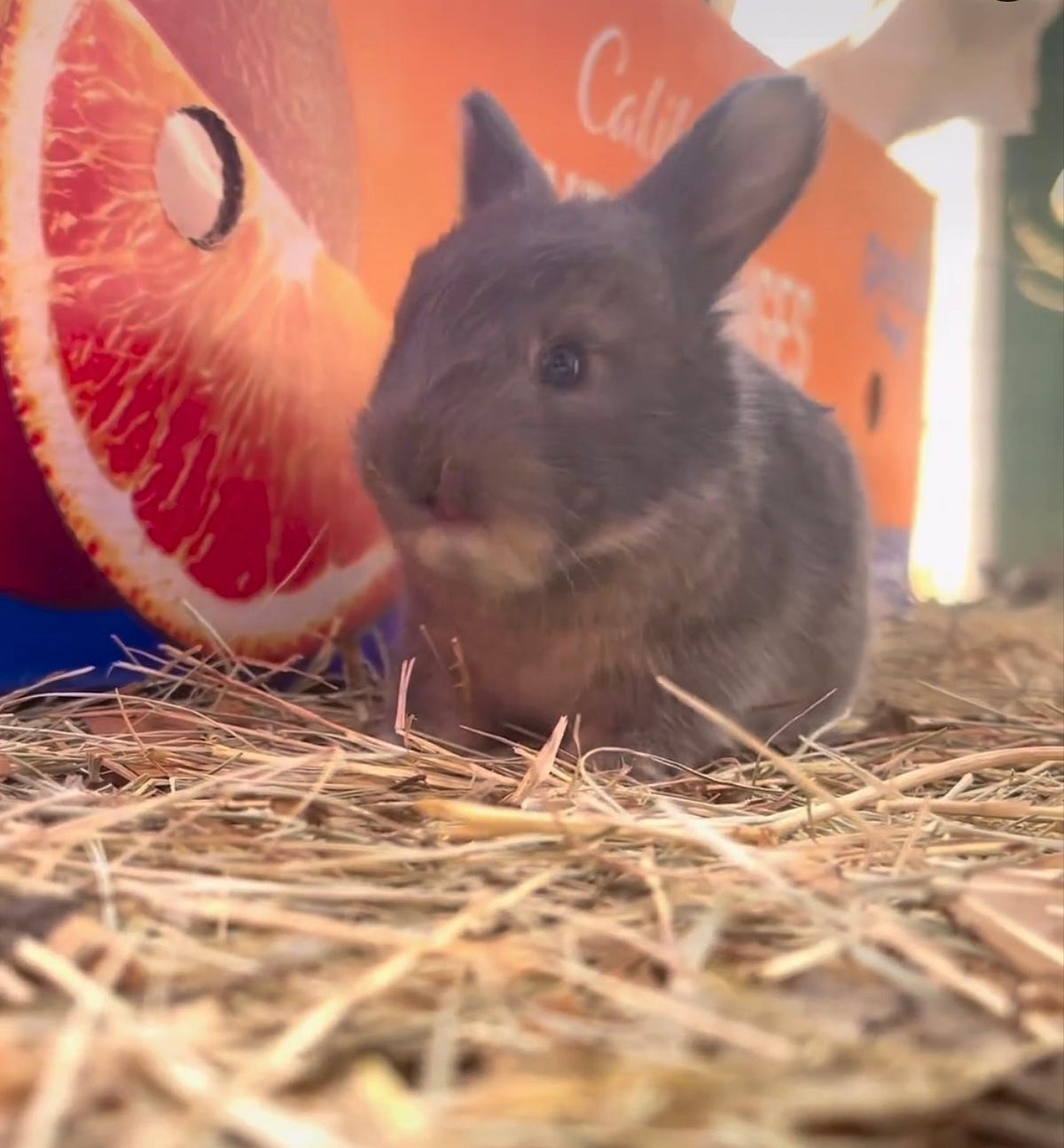 How to Remain Calm in the Face of Chaos and Adversity | by Richard ...