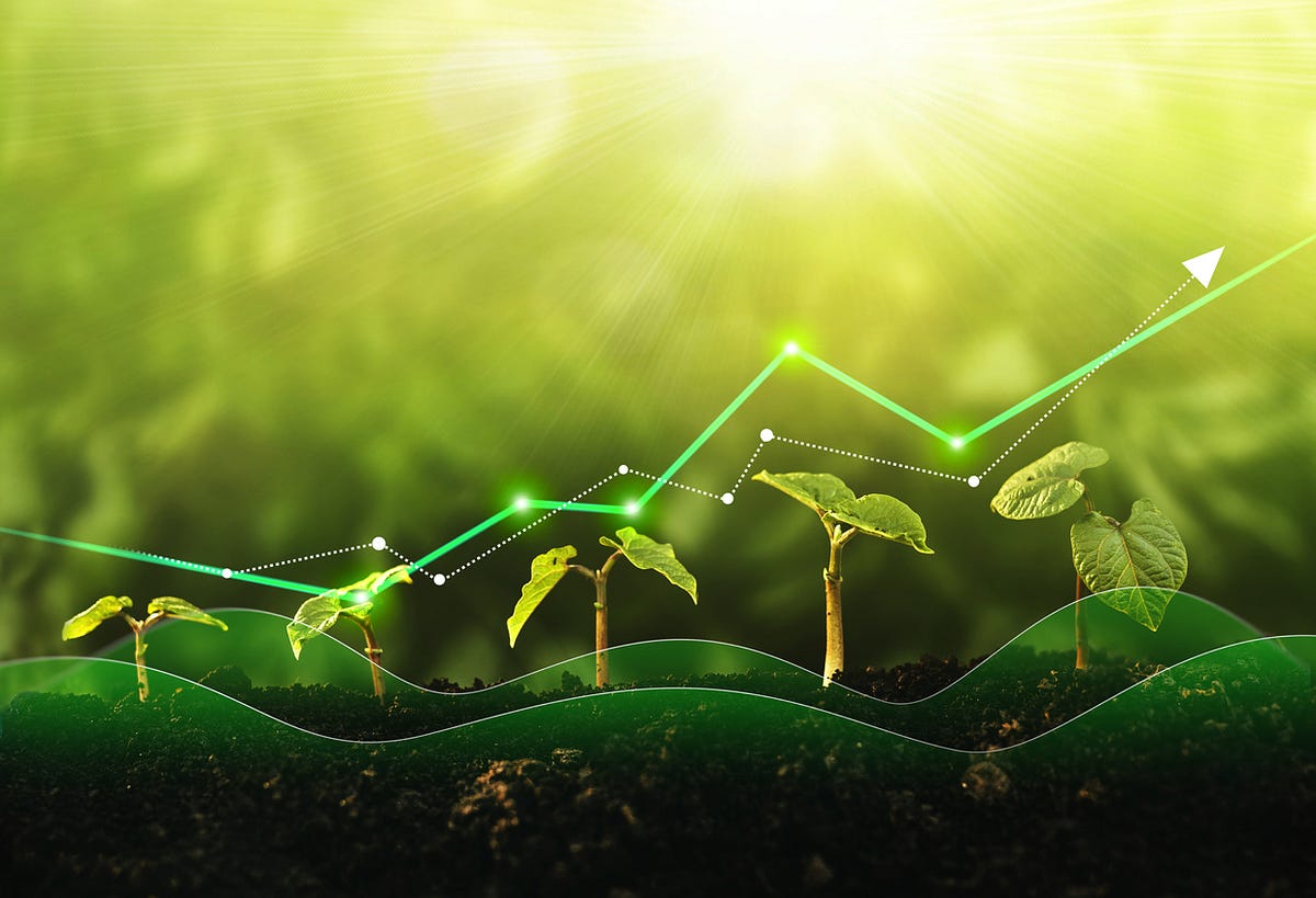 Plan Scale Up to Grow Social Enterprise | by Barry J Barresi OD PhD ...