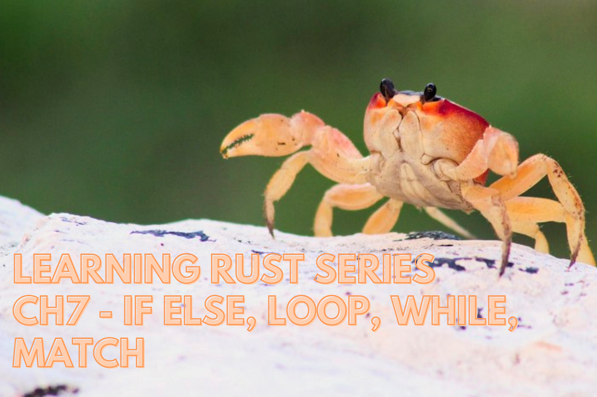 Learning Rust Series Ch7 — if else, loop, while, match | by Harry Lau ...