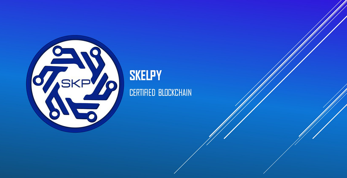 Understanding the Skelpy System. Crypto currencies are all the hype ...