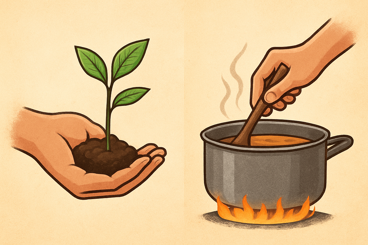Whatever Gets Cooked Can No Longer Grow | by Itunuoluwa O. OMOLADE ...
