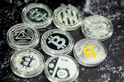 Bitcoin Maximalism is more than just a fad | by Pixel Prophet | Medium