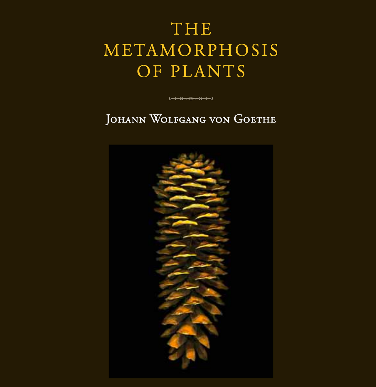 Goethe: The Formgiver of Life’s Living Metamorphosis — Rediscovering ...