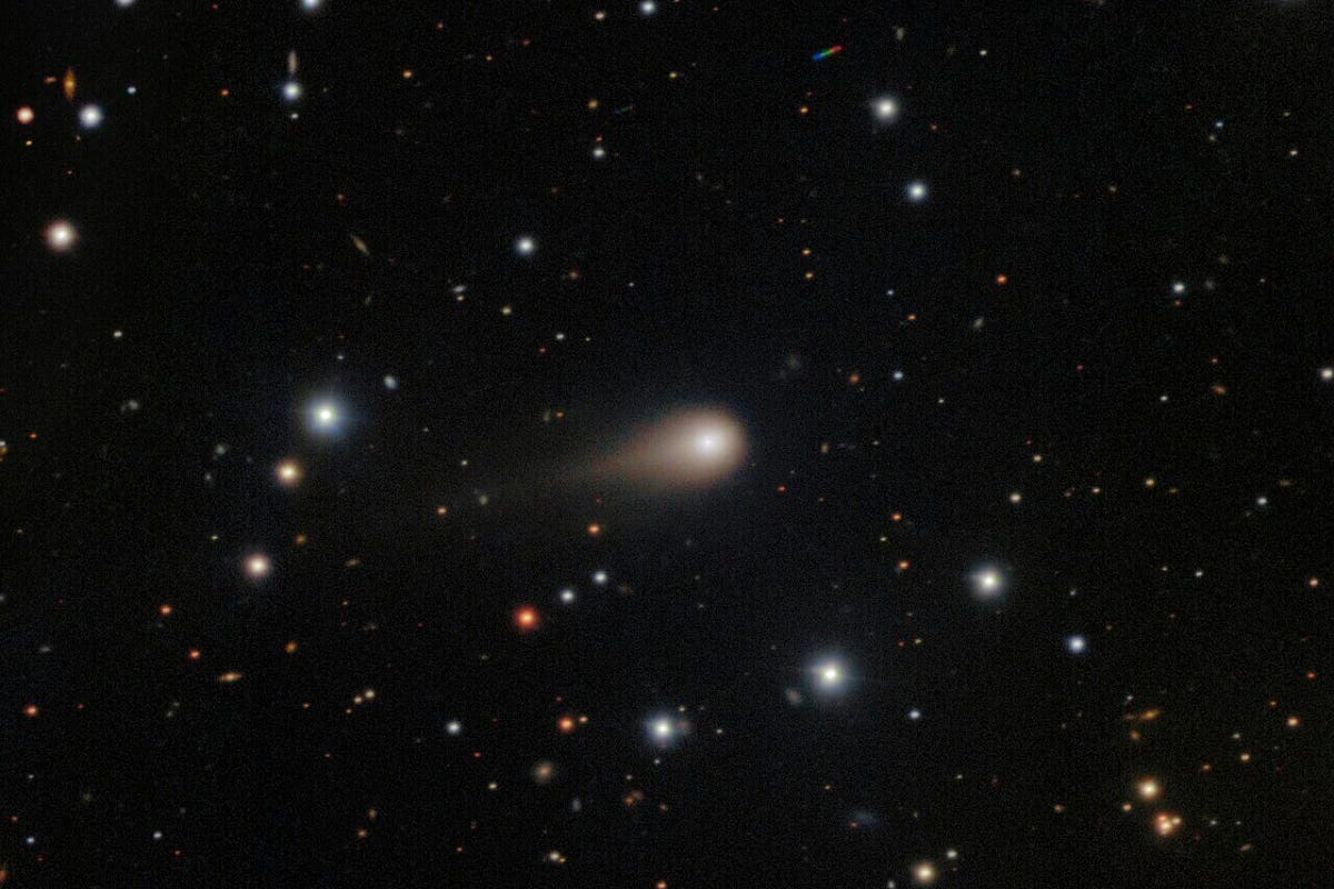 Latest 3I/Atlas Image Shows Classic Tail - Dylan Jason Hyatt - Medium