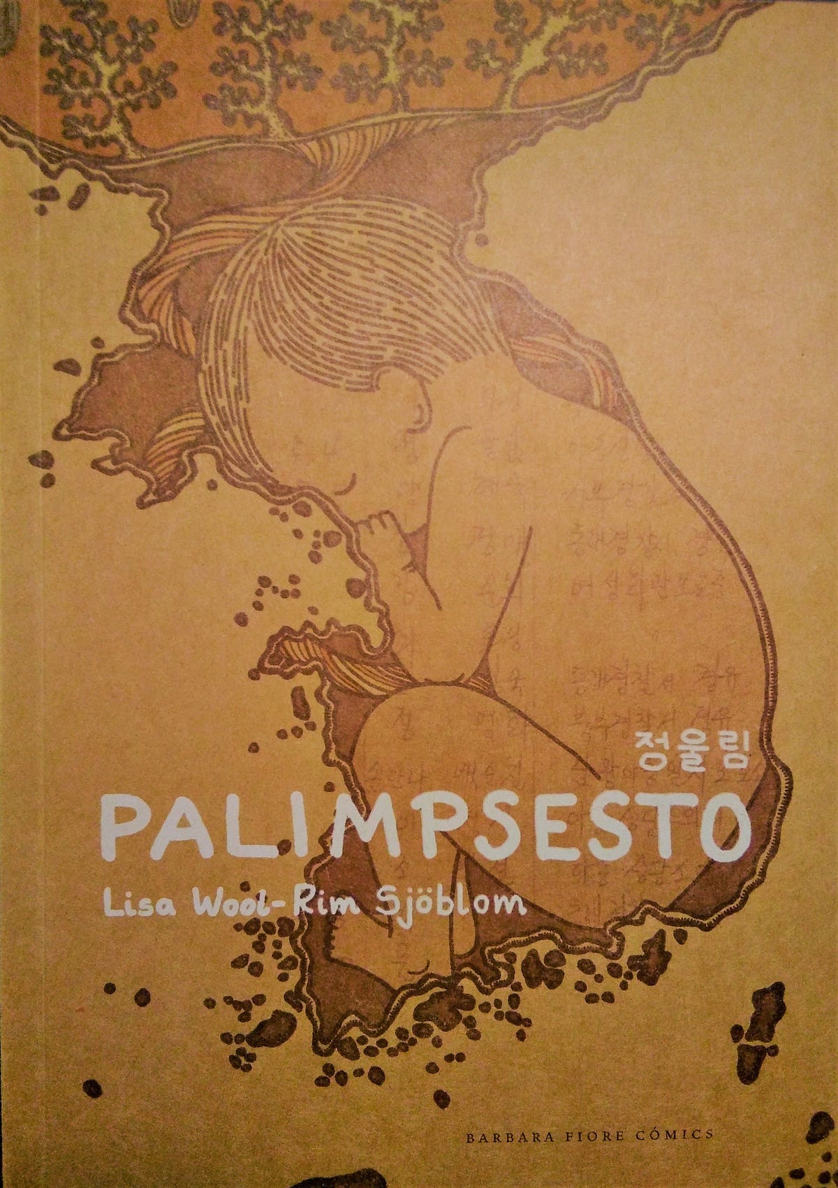 ‘Palimpsest’, Lisa Wool-Rim Sjöblom | by Beatriz Pérez Zapata | Reading East Asia | Medium
