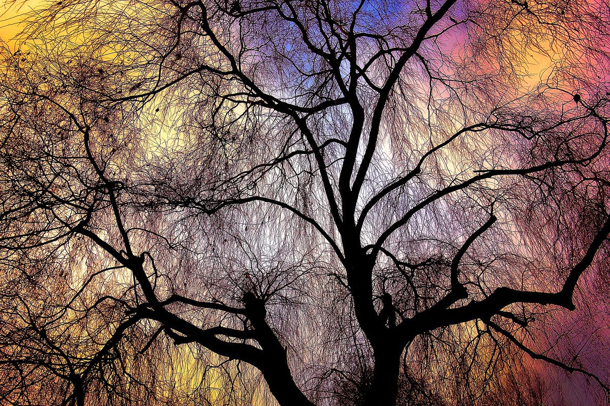 Coiled Mind, Clenched Fist. I wake up in the middle of the night… | by ...