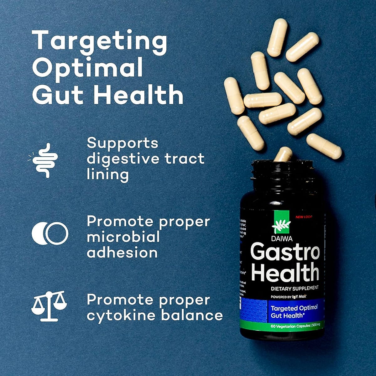 Daiwa Gastro Health - Daiwa Health Supplement - Medium