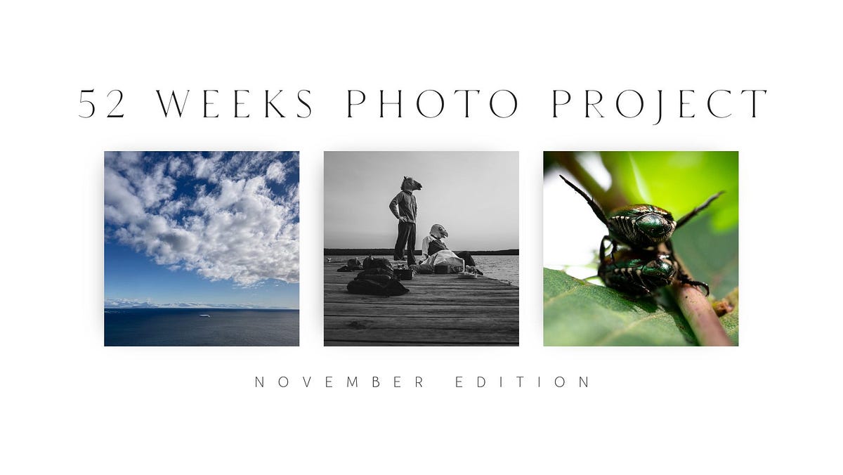 52 Weeks Photography Project. November 2024 Edition | by Ian Hanson ...