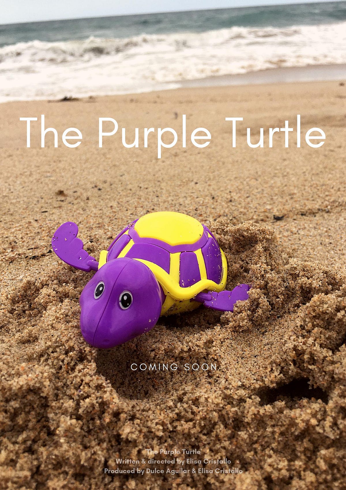 Purple Turtle. Purple Turtle: Using Intelligent… | by Kuldeepvermaccb ...