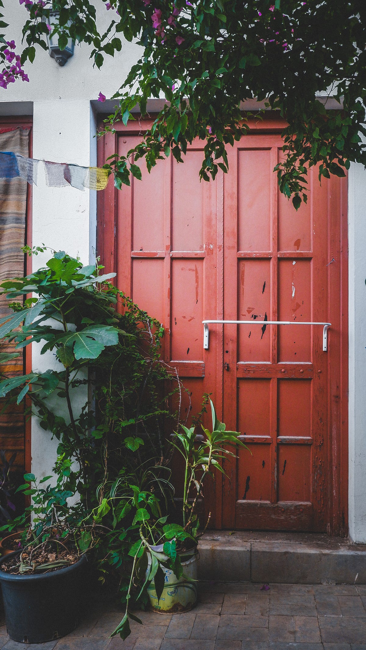 Only Red. Beginning of the" Only Red" saga. | by Regina Edmunds (aka ...