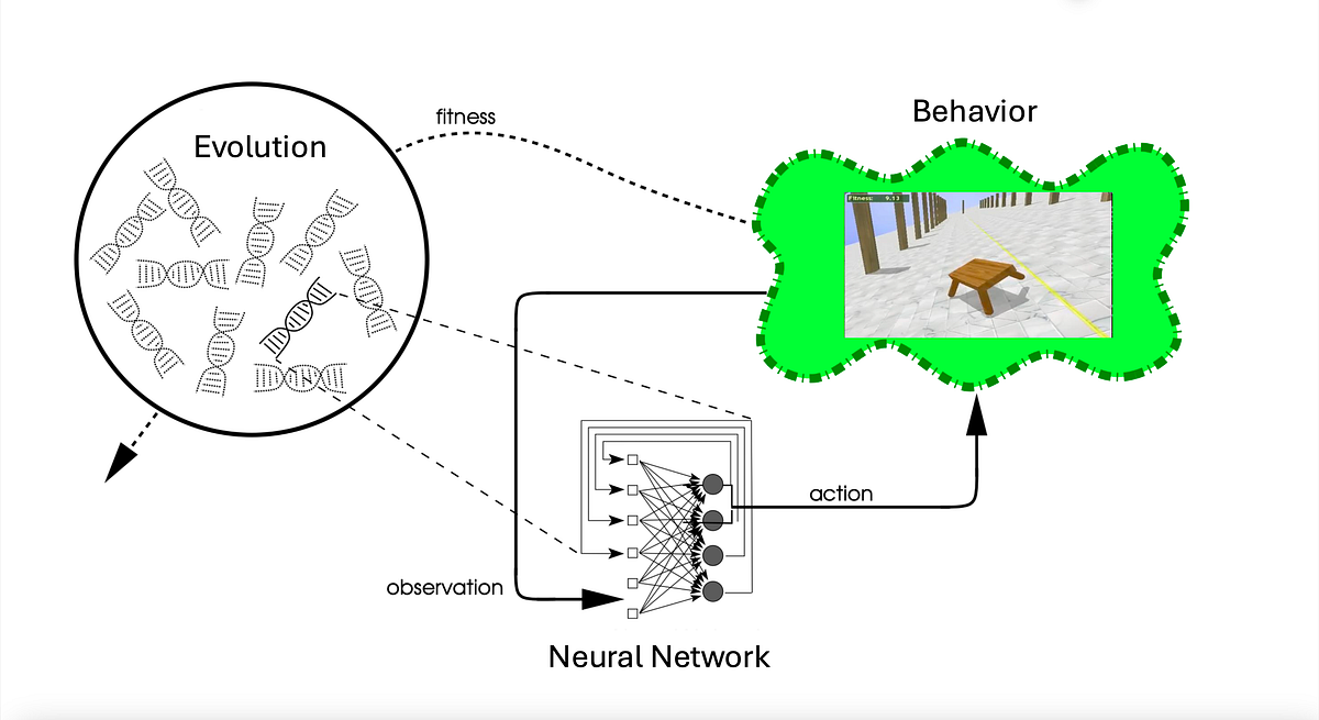 How Neuroevolution Reveals the Origins of Neural Circuit Design | by Cognizant AI Research Lab ...