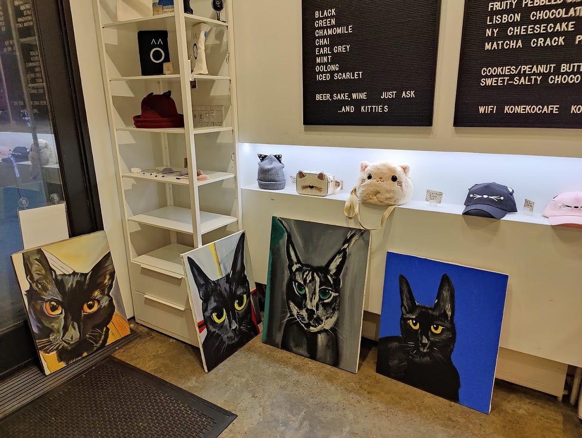 2024: Cat Crawl: The Ultimate Cat Lover’s Day Out in NYC (Updated) | by ...