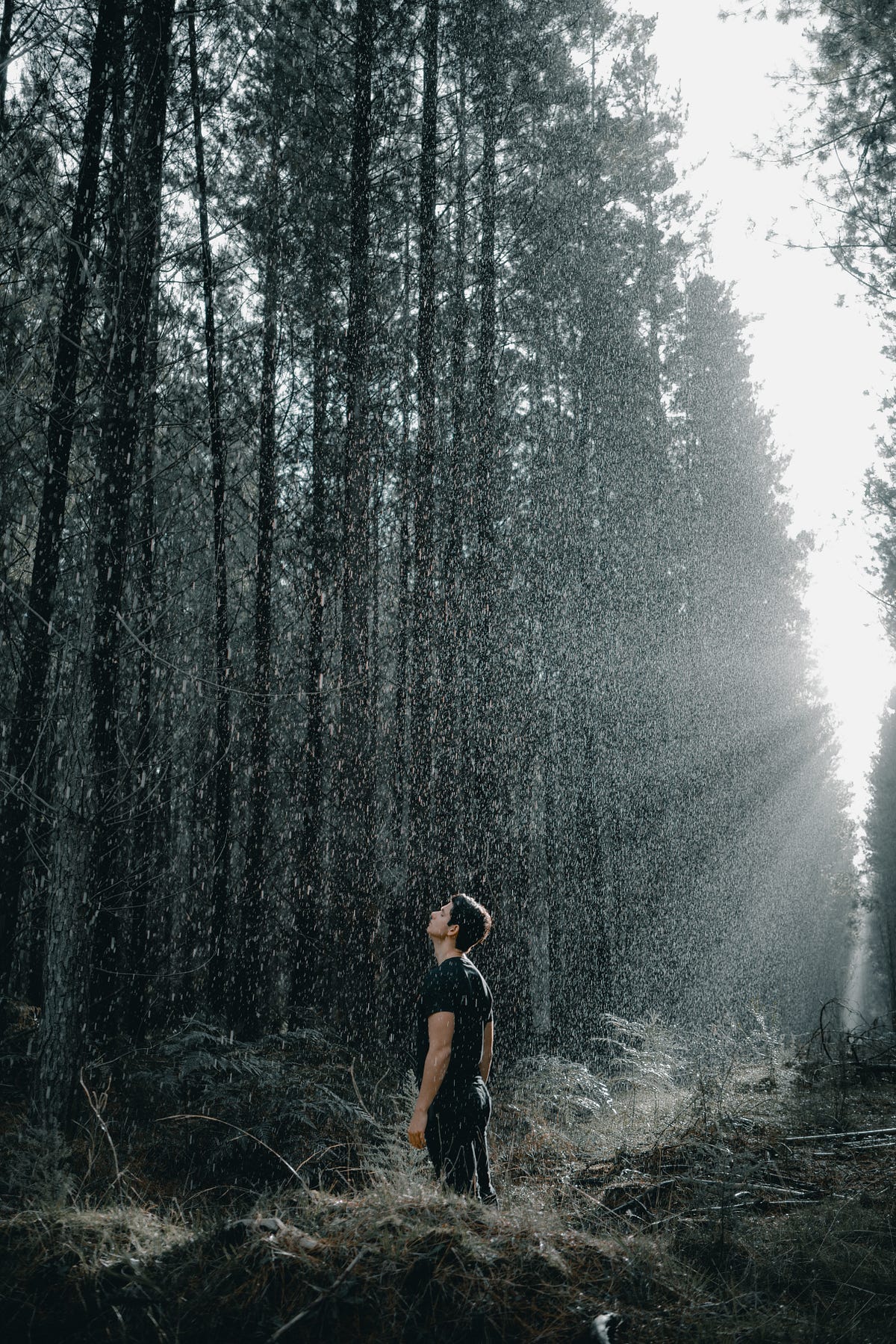 6 Types of Negativity That Are Holding You Back. | by Inpsychful Mind ...