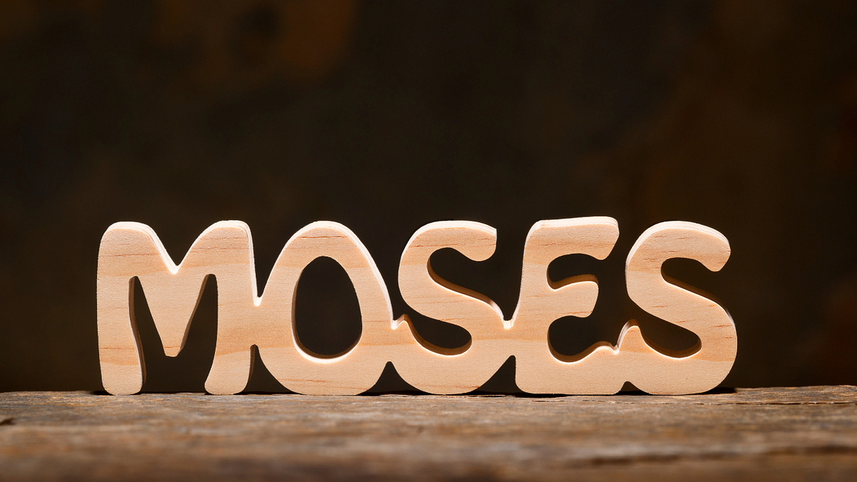 Did Moses See God’s Face? | Centered on Christ