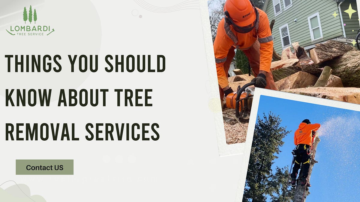 Things You Should Know About Tree Removal Services | by Lombardi Tree ...