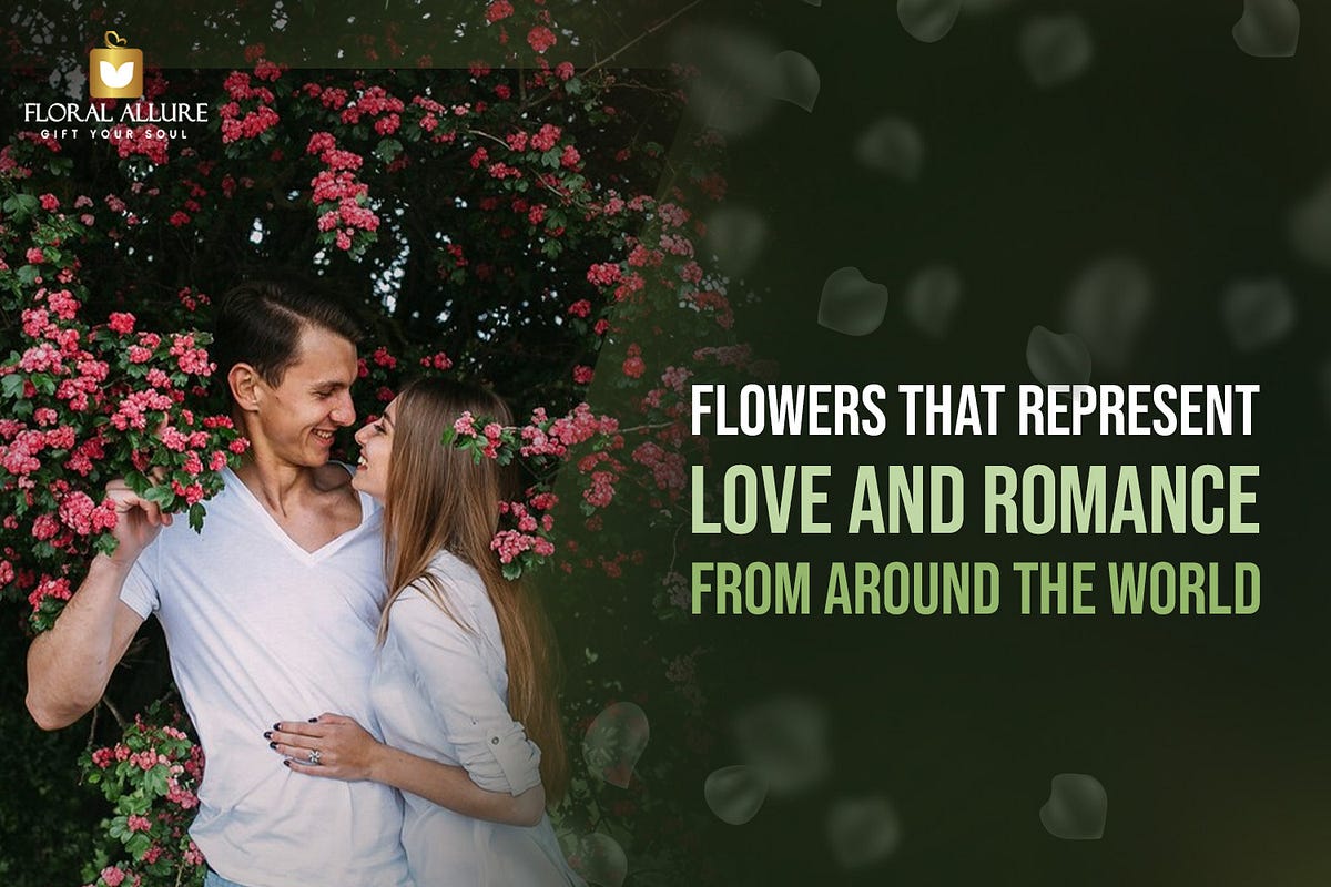 Flowers That Represent Love and Romance From Around The World | by Floral Allure | Medium