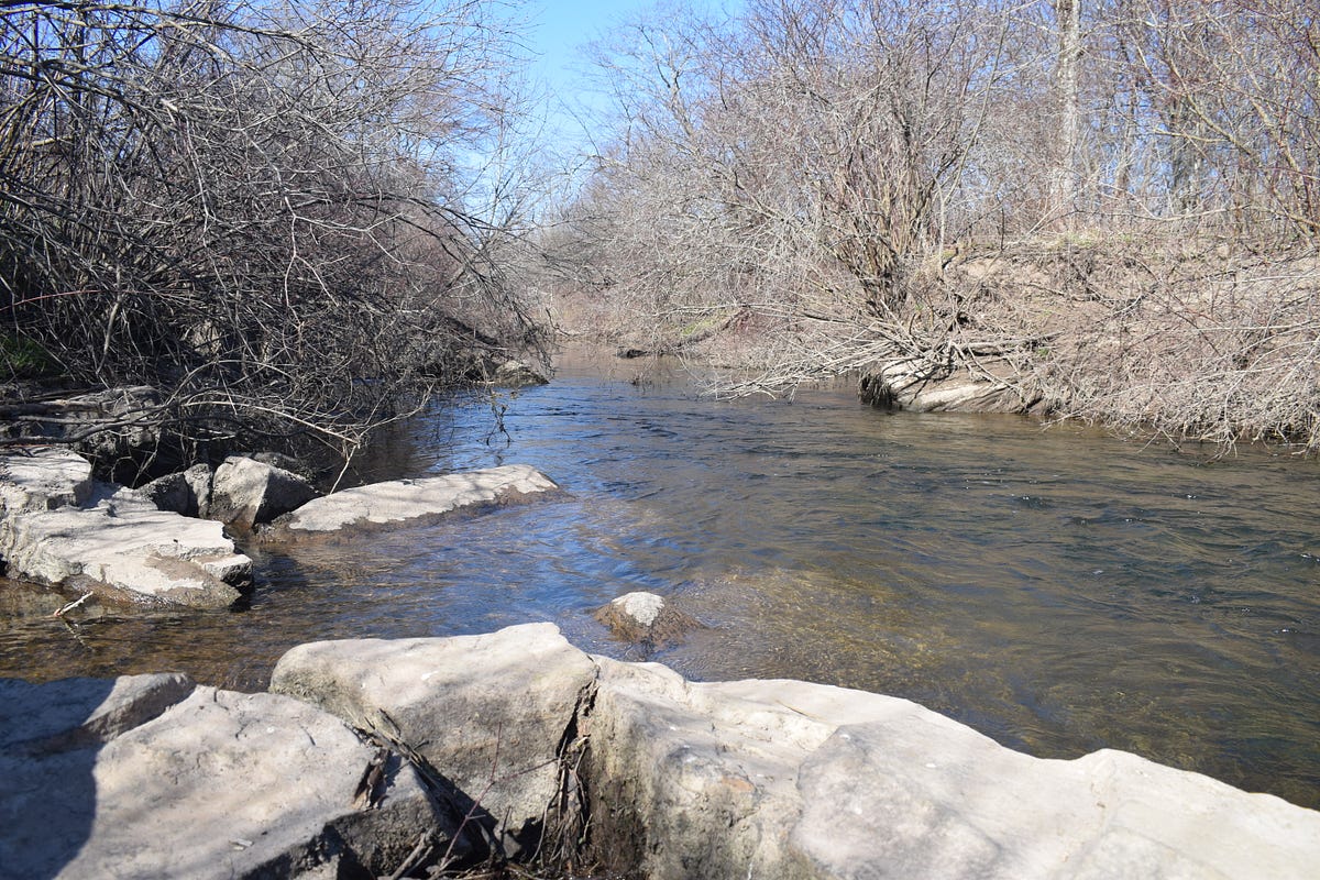 Restoring Faith in Solitude, Nature, and Self | by Walter Bowne | The ...
